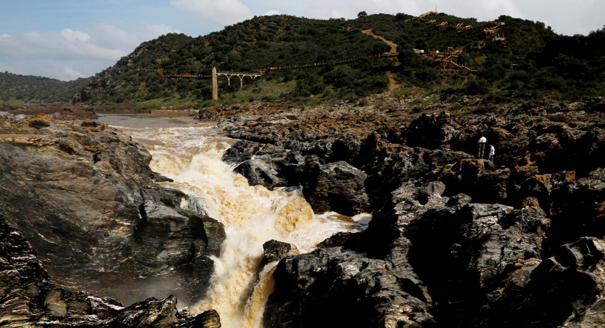 O mundo à beira-rio